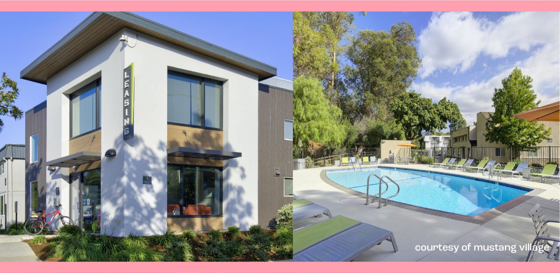 Poly Picks 2021 | Mustang Musts – Mustang Media Group